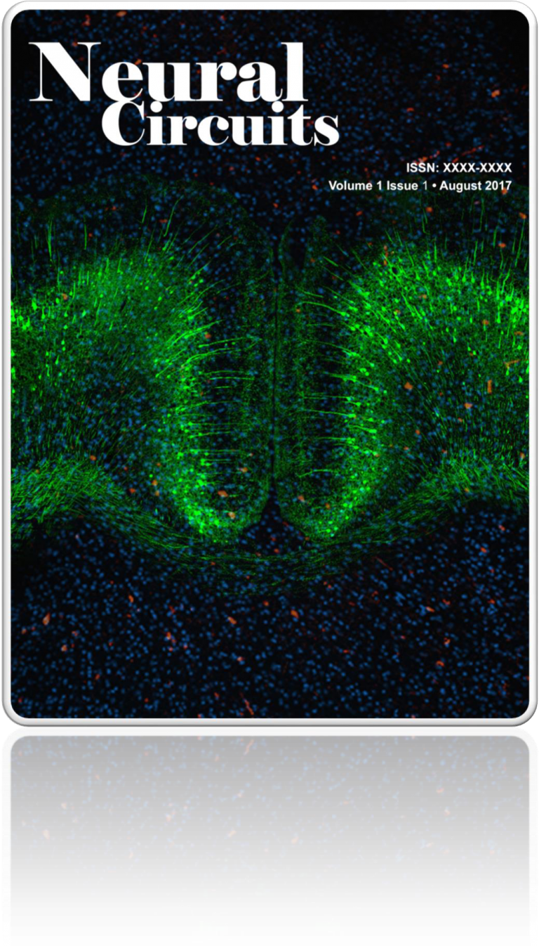 Neural Circuits - EnPress Publisher